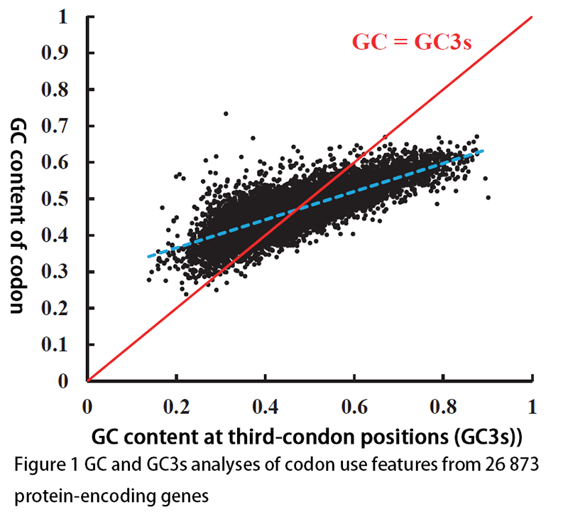 Analyses of Codon Usage Patterns and Codon Usage Bias in Peach ( Prunus ...