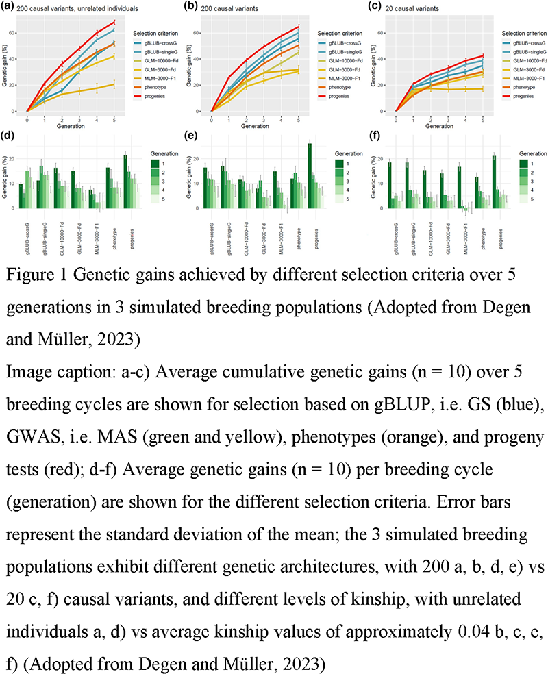 Gene-Driven Future: Breakthroughs and Applications of Marker-Assisted ...