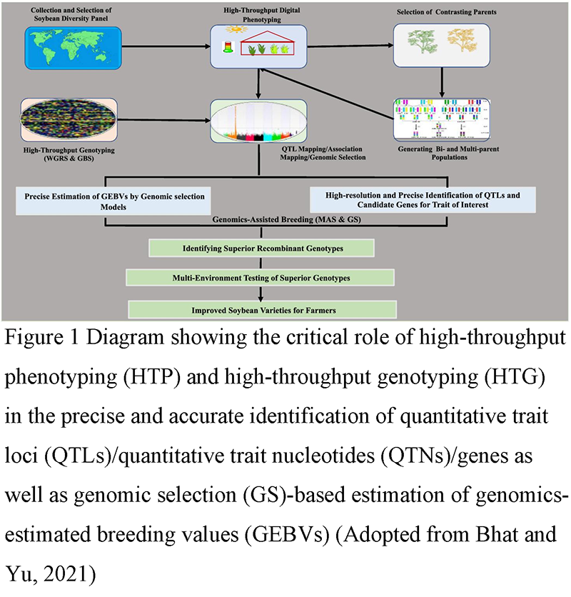 Improving Soybean Breeding Efficiency Using Marker-Assisted Selection ...