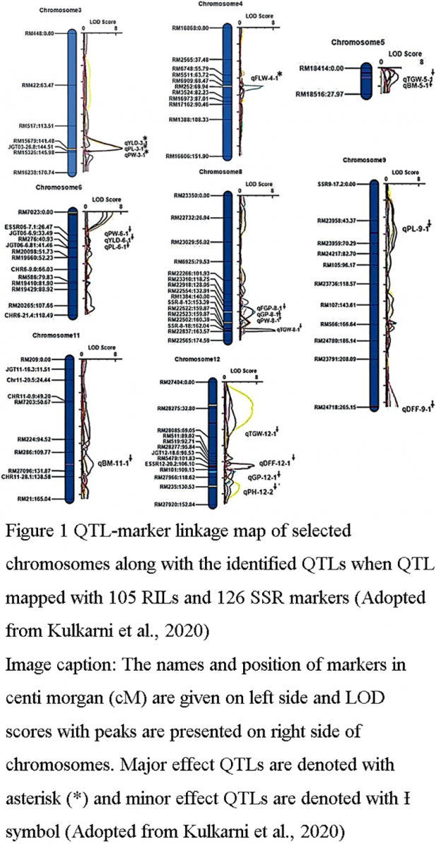 Systematic Analysis of QTLs for Rice Yield and Quality: From Mapping to ...