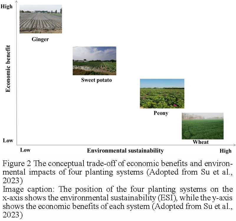 High-Density Planting Systems Improve Mechanical Harvest Efficiency and ...