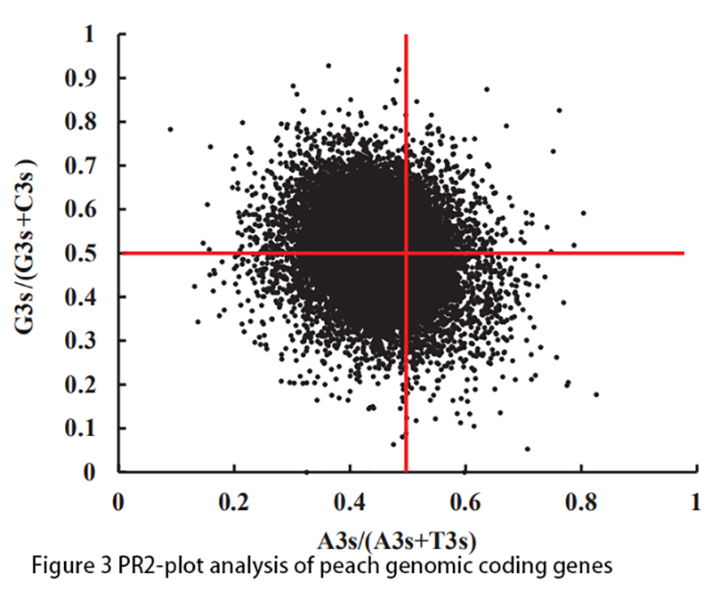 Analyses of Codon Usage Patterns and Codon Usage Bias in Peach ( Prunus ...