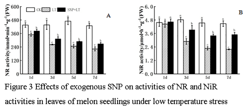Effect of Sodium Nitroprusside on the Growth and Enzymes Related to ...
