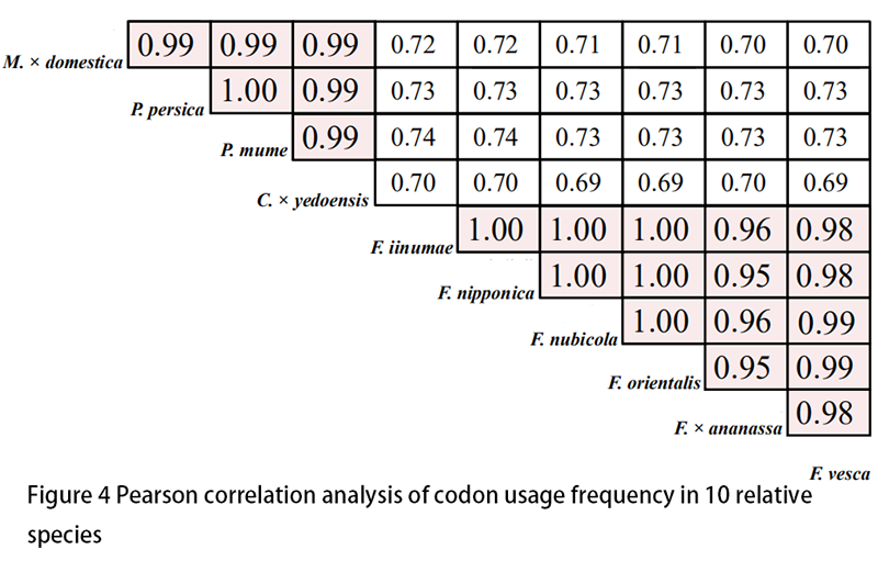 Analyses of Codon Usage Patterns and Codon Usage Bias in Peach ( Prunus ...