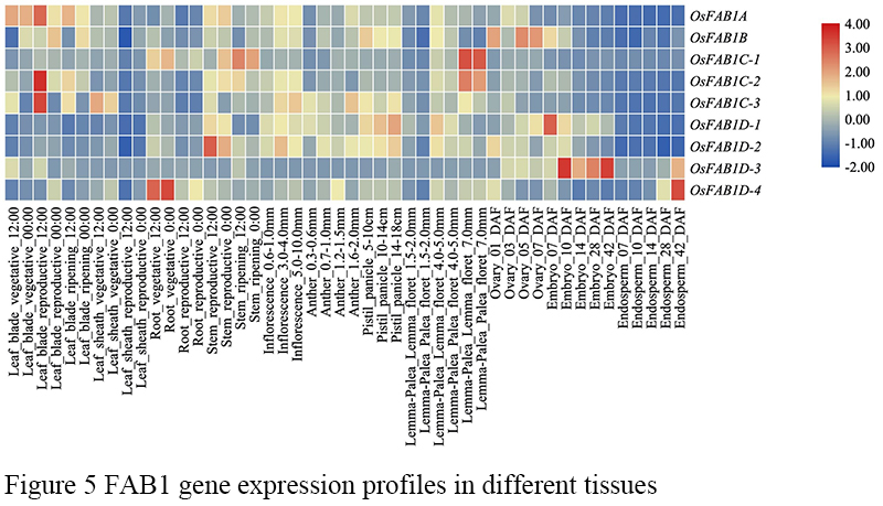 Identification And Functional Analysis of 3-Phosphatidylinositol Kinase ...